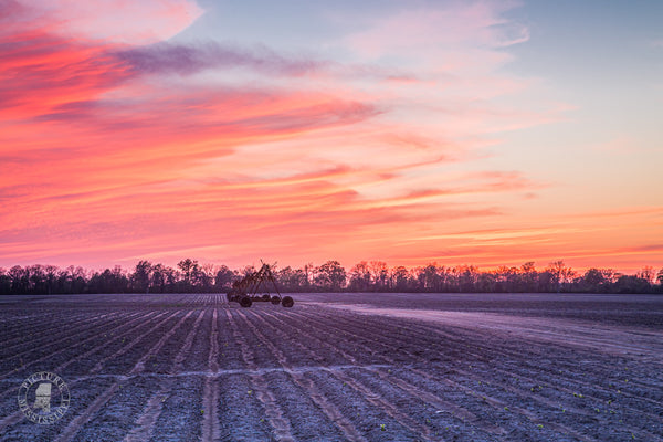 Money Sunset – Picture Mississippi